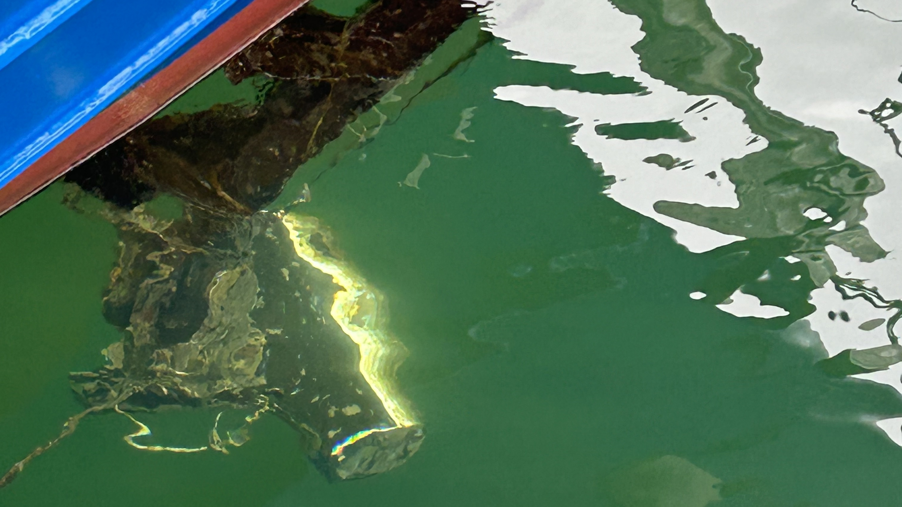 Teledyne Marine Integrates Biofouling Protection Coatings for Sonars ...