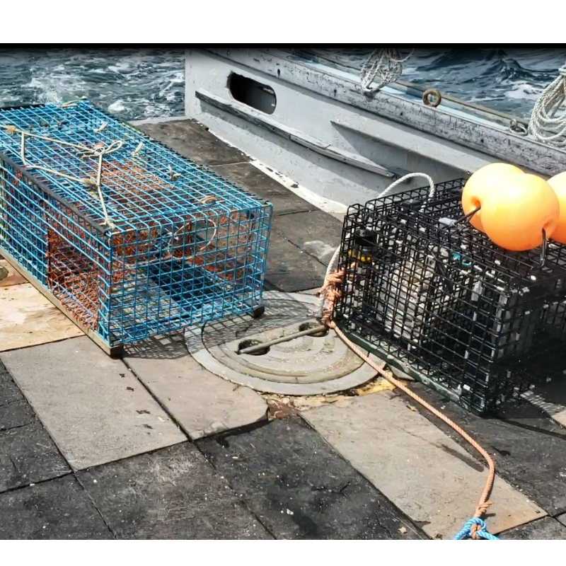 Edgetech 2205 AUV/ ROV/ ASV-based sonar - Geo-matching