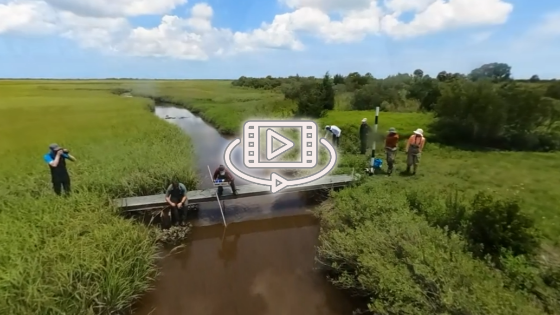 A Day in The Life of a Hydrographer, a 360-degree experience! - Geo ...