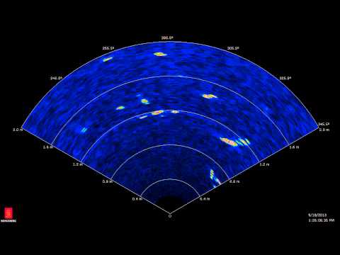 Fish behavior monitoring short range imaging - Geo-matching