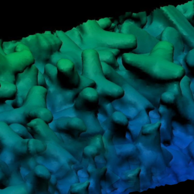 R2Sonic Sonic 2020 Multibeam Echosounder - Geo-matching