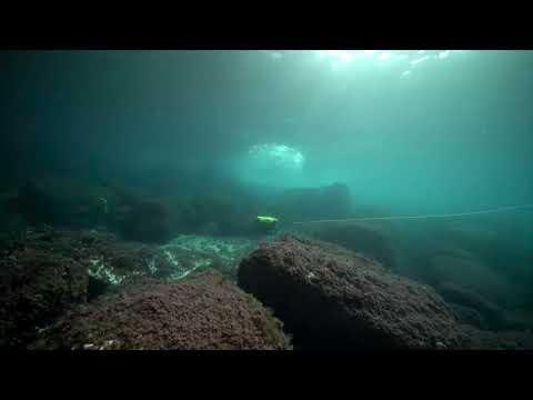 exail - R7 Compact Observation Class ROV Seabed Survey - Geo-matching