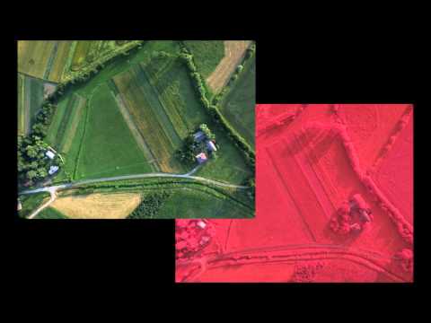 Pteryx Agro Mapper - Geo-matching
