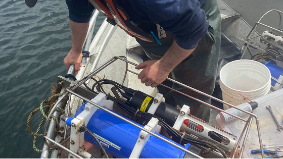 Using Kelp Farms to Help Fish Biodiversity (feat. AML-6 CTD) - Geo-matching