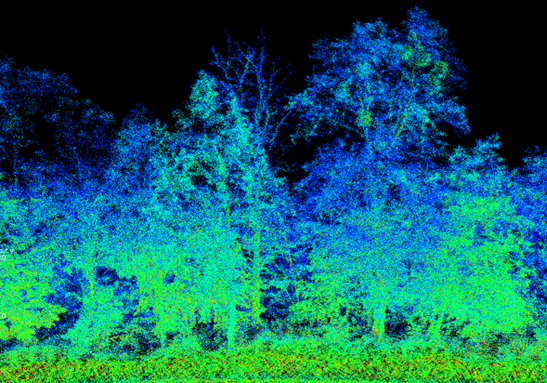 Forestry Management Using Lidar Geo Matching