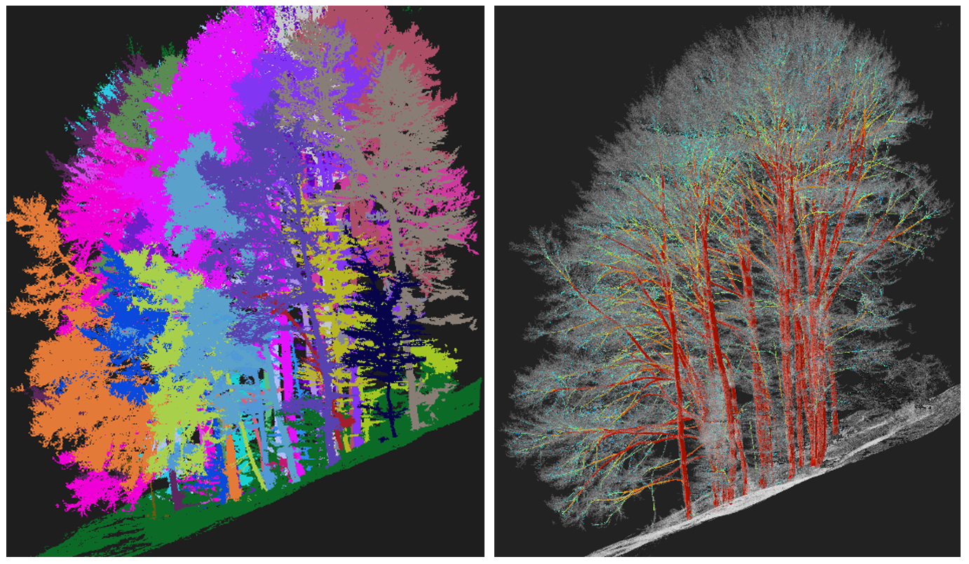 LIS Forestry Addon - Geo-matching