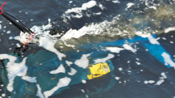 Large Underwater Waves Observed with Towed ADCP - Geo-matching