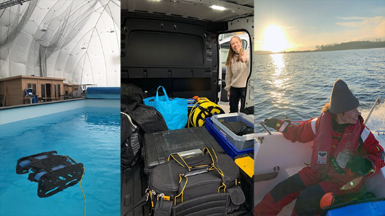 Automatically Map 2,500 m2 of the Seabed Marine Habitat with a ROV in ...