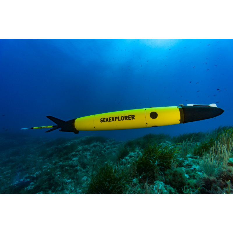 Teledyne FLIR LadyBug 6 360 Degrees Cameras - Compare with Similar ...