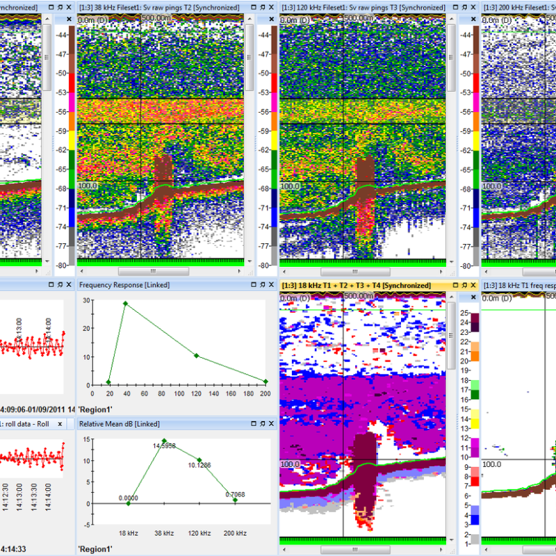 Echoview hydroacoustic data processing - Geo-matching