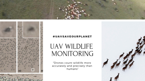Long-range Drone/UAV for Anti-poaching and Wildlife Conservation - Geo ...
