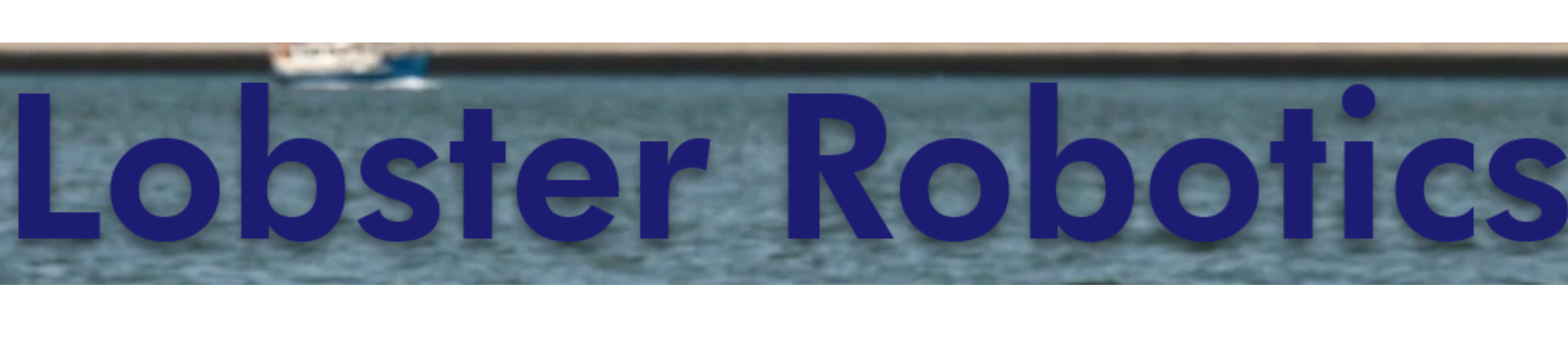 Lobster Robotics - Geo-matching