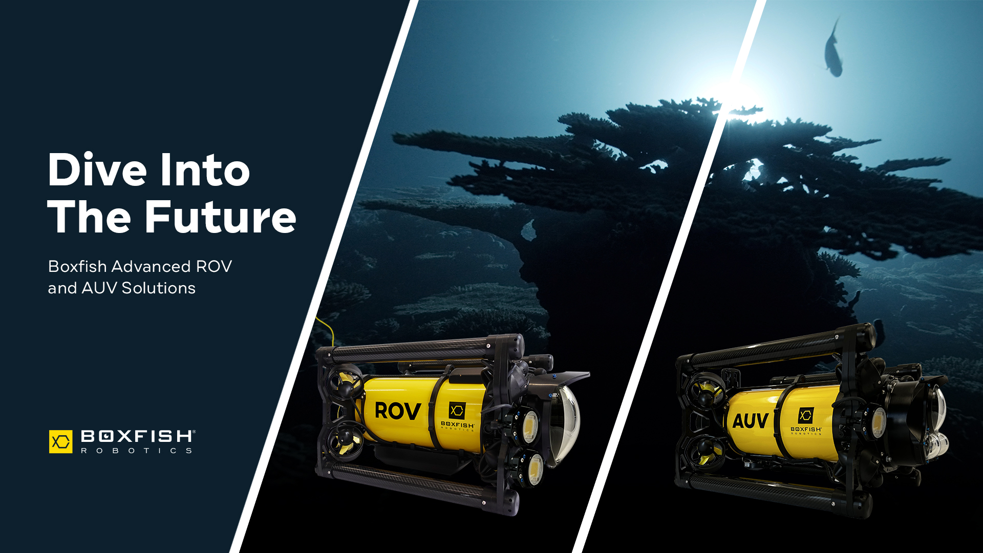 Boxfish Tethered ROVs and Autonomous Solutions - Geo-matching