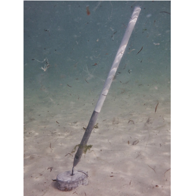 TCM-4 Shallow Water Tilt Current Meter - Geo-matching