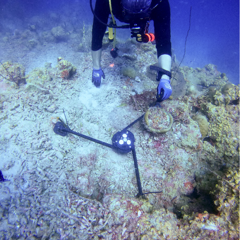 Eco Current Profiler - Geo-matching
