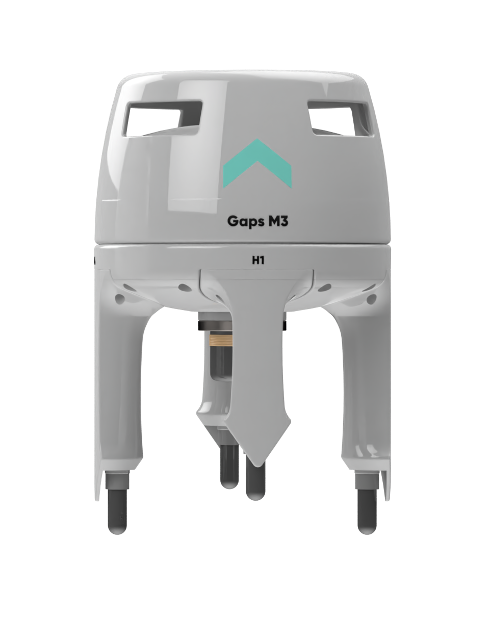 Gaps M3 - Geo-matching