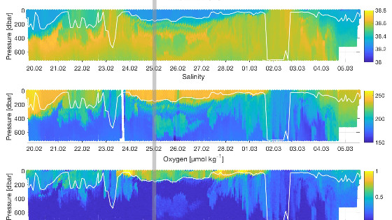 Intense observation of the deep convection in the North-Western ...