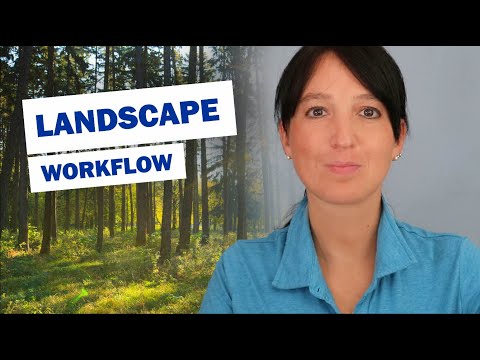 Reconstructor_Landscape workflow - Geo-matching