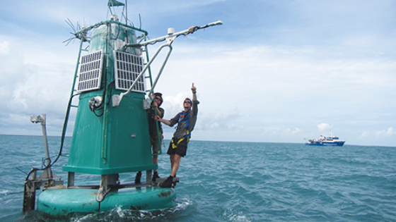 ADCP-based Monitoring System Aids Operations in Darwin Harbour - Geo ...
