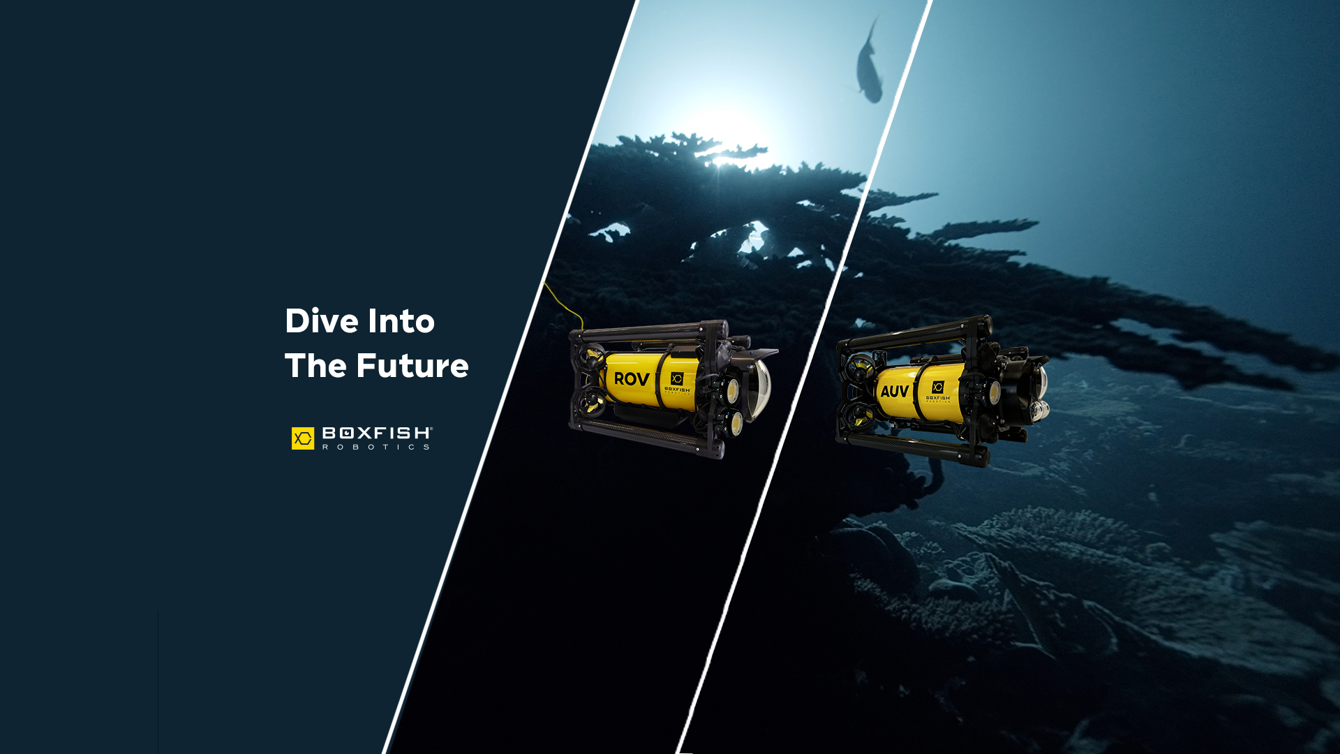 Boxfish Robotics - Geo-matching