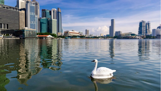 Water Quality Monitoring Is Being Revolutionized by Using Blue Robotics ...