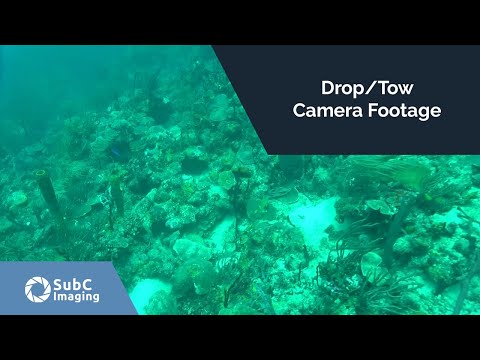 Drop/Tow Camera Footage - Geo-matching