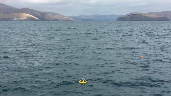 Port of Lyttelton - Sofar Ocean Spotter as primary offshore wave buoy ...