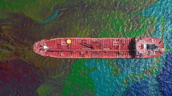 The Professional Motion Reference Unit: A Motion, Heading and Position ...