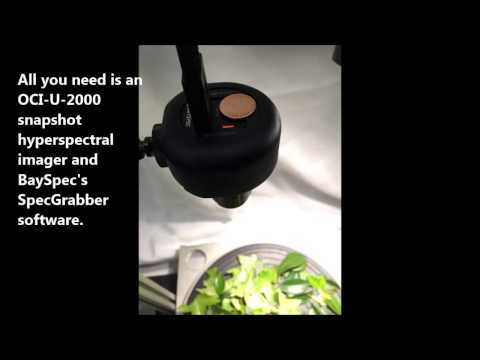 OCI™-U-2000 Snapshot Hyperspectral Imager Real-time Mateial Sorting ...