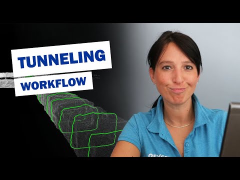 GEXCEL Reconstructor - Geo-matching