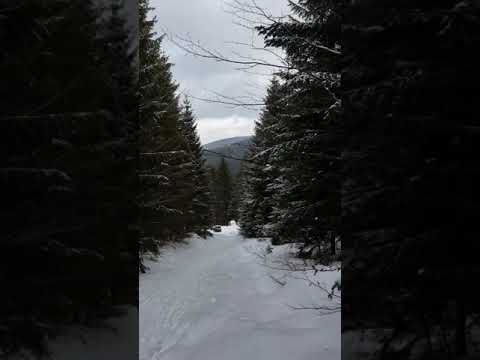 SatLab SL800 GNSS Receiver - Geo-matching