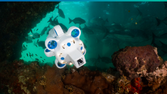 Advanced Navigation Hydrus Autonomous Underwater Vehicles - Geo-matching