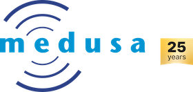 LizardTech - Geo-matching