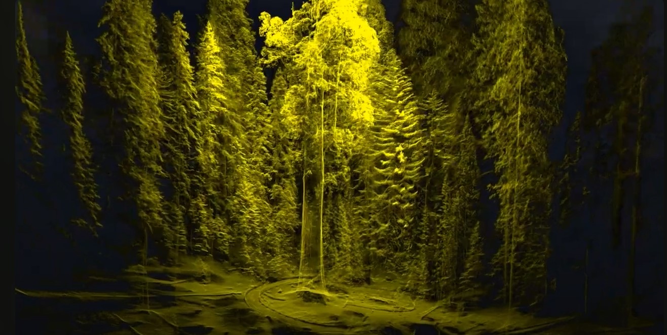 Point Cloud of the Majestic General Sherman Tree with RESEPI Ouster OSI ...