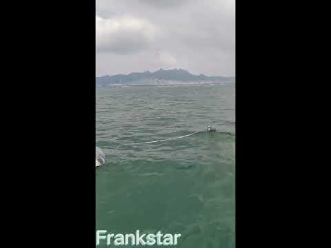 Floating Mini Ocean Wave Buoy to Observe Sea Wave Height Direction ...