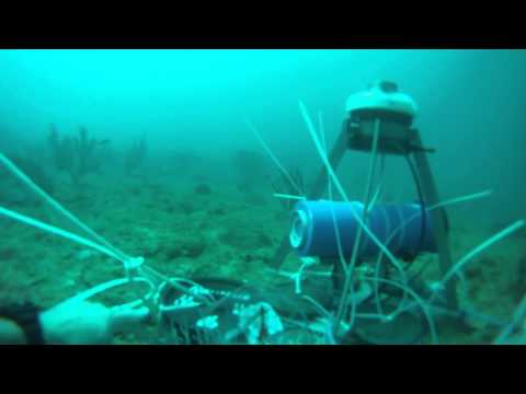 AWAC - 1 MHz - Acoustic Wave and current profiler up to 30 meter depth ...