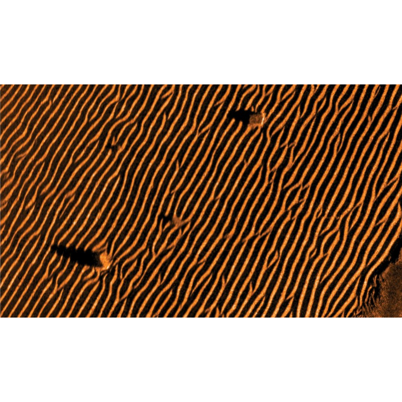 Triton Perspective-SSS - Geo-matching