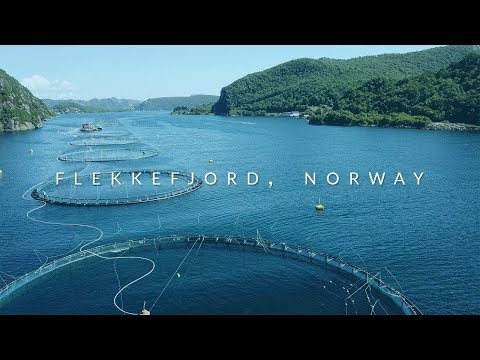 DTG3 ROV - Geo-matching