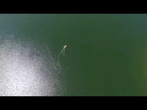 ASP (Autonomous Surface Platform) - Calypso 2 - Geo-matching