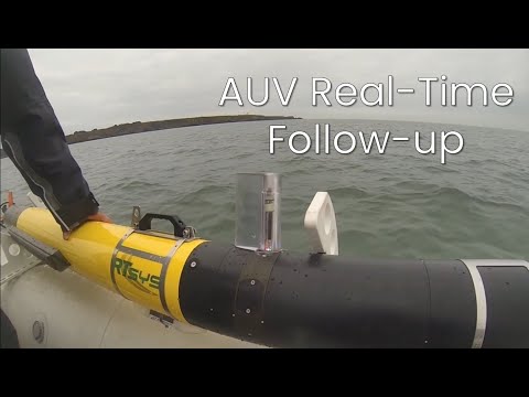 AUV Real-time follow-up - Geo-matching