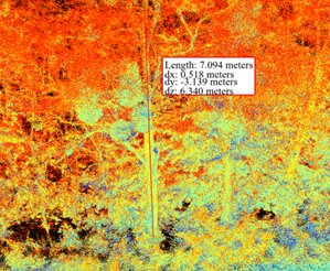 Forestry Management Using Lidar Geo Matching