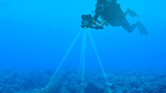 Navigating the Subsea Realm with Doppler Velocity Logs - Geo-matching