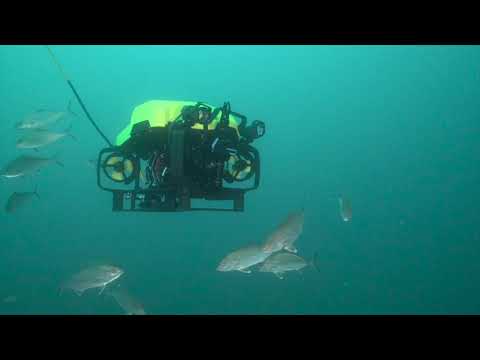 exail - R7 Compact Observation Class ROV EOD Operations - Geo-matching