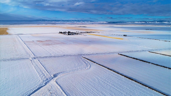 LiDAR Snow Surface Mapping for the NASA SnowEX Program - Geo-matching