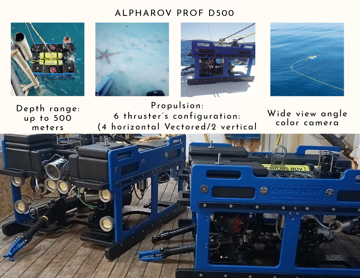 ALPHAROV PROF D500 - Geo-matching