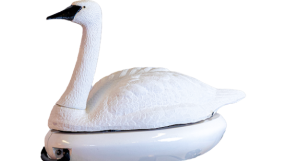 Water Quality Monitoring Is Being Revolutionized by Using Blue Robotics ...