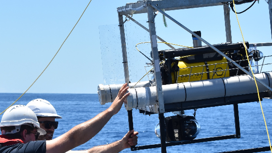 Boxfish ROV Deepsea Deployment - Geo-matching