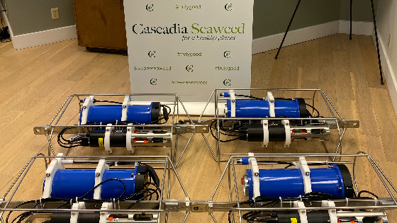 Using Kelp Farms to Help Fish Biodiversity (feat. AML-6 CTD) - Geo-matching