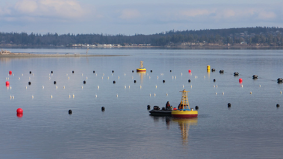 pH Sensors for Experimental Kelp Farm (Aquaculture) - Geo-matching
