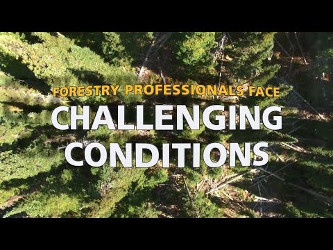 Trimble R1 GNSS Receiver for Forestry - Geo-matching